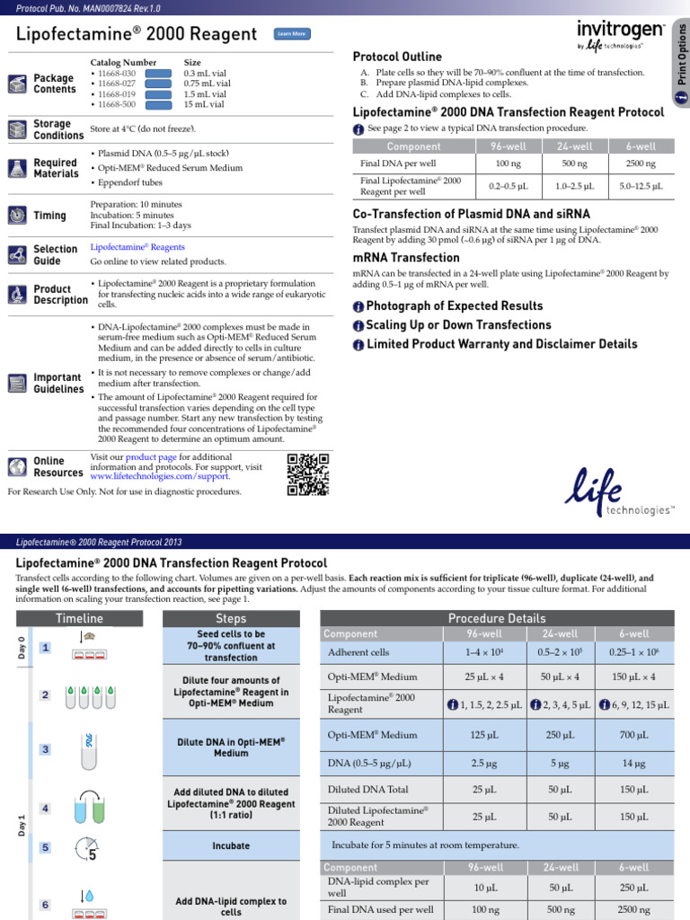 Lipofectamine 2000 Reag Protocol | PDF