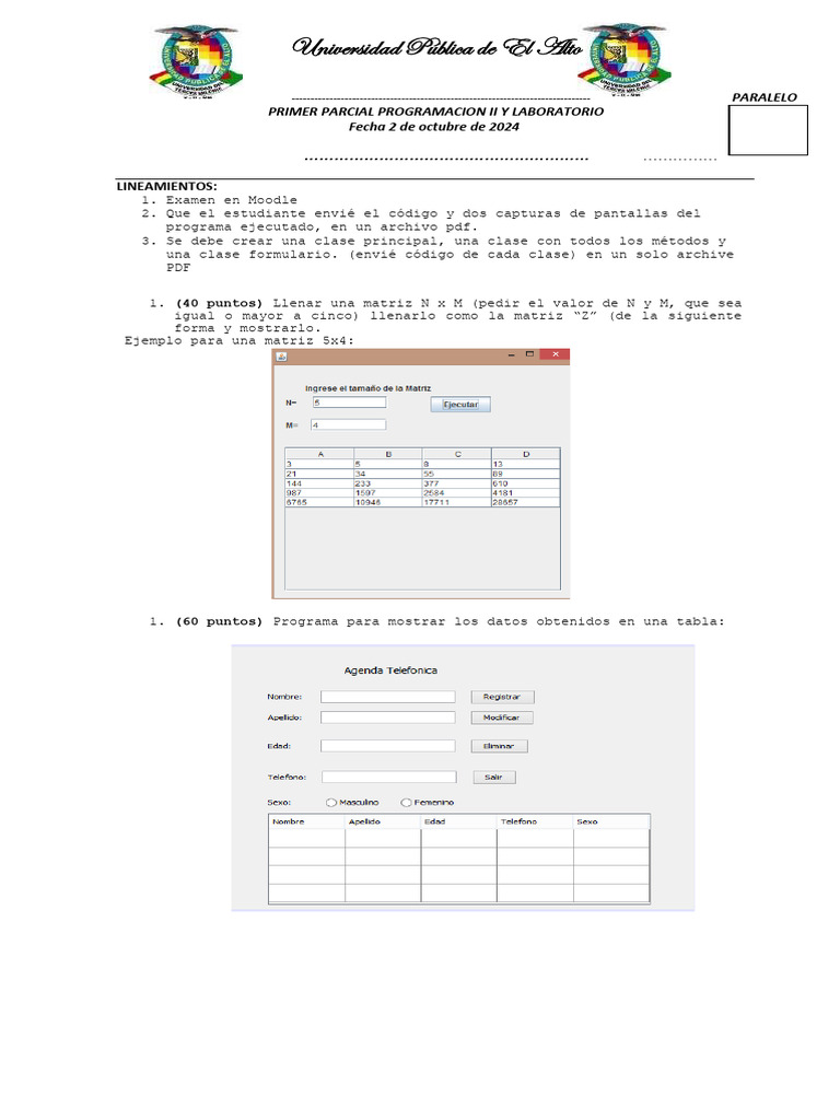Primer Parcial Programacion Ii y Laboratorio | PDF