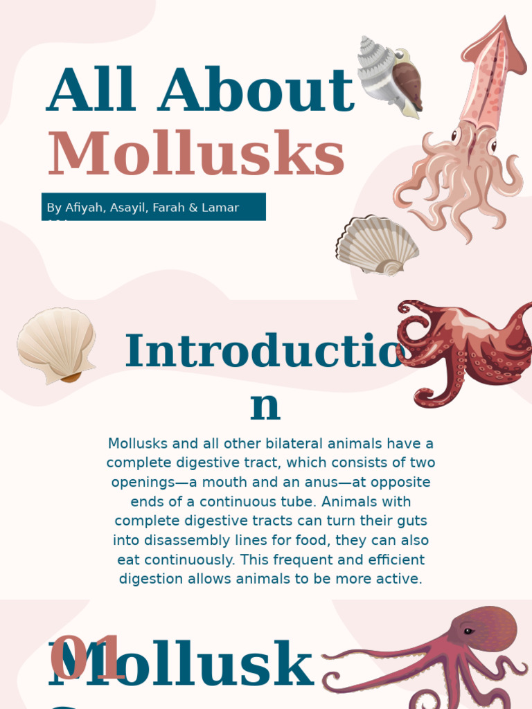 Mollusks | PDF