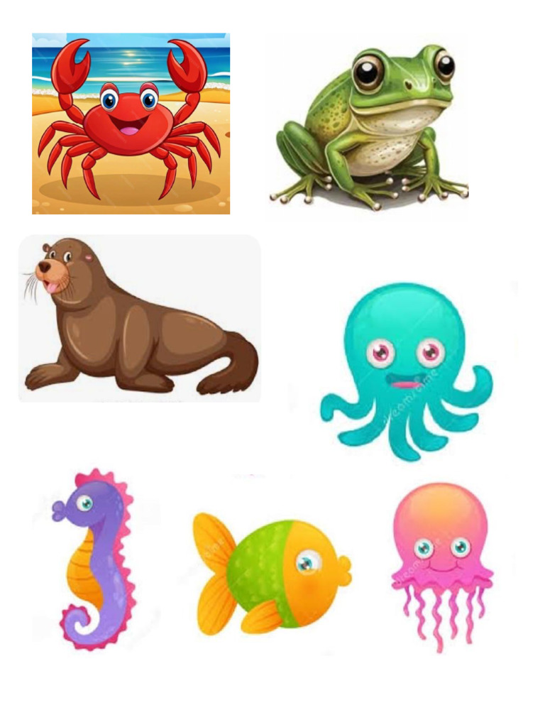Final Animals | PDF