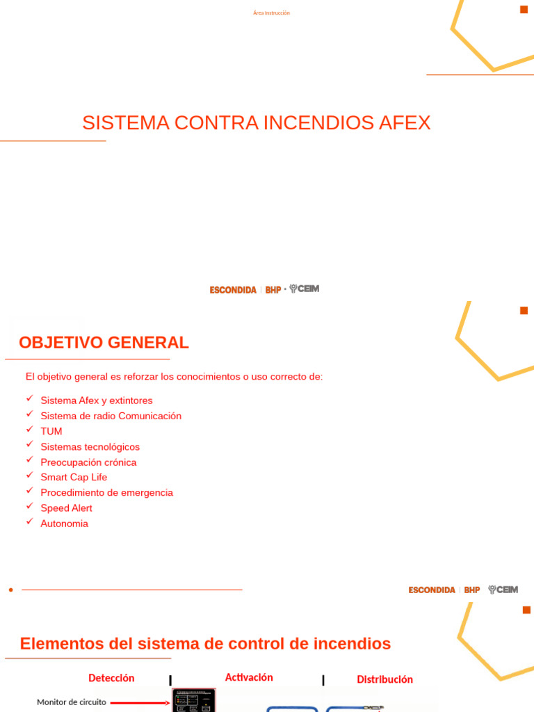 Charla CF. AFEX Presentacion | PDF