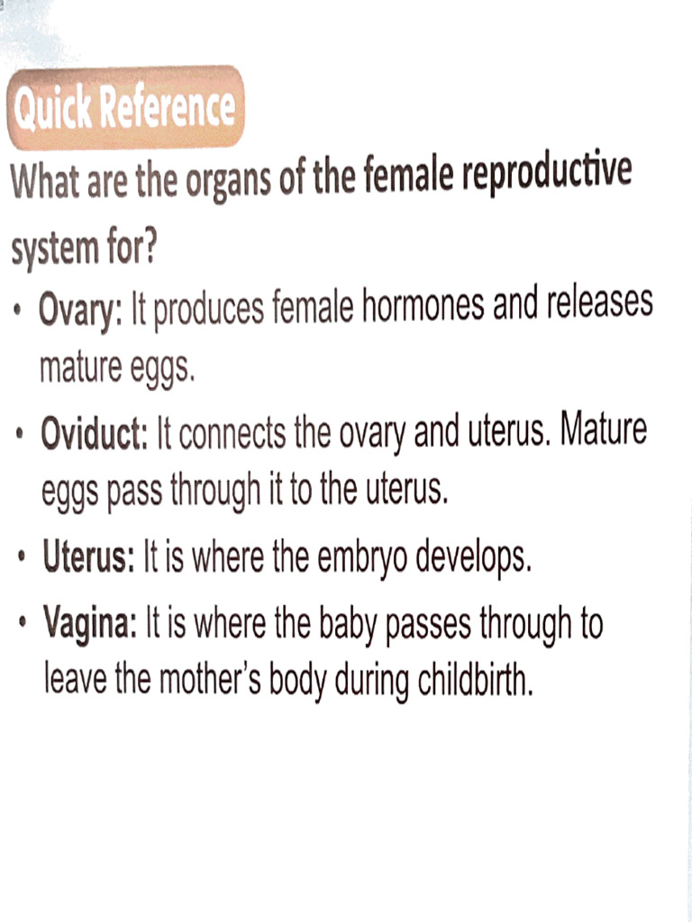 Book 5.1 Unit 2 Male and Female Reproductive System | PDF