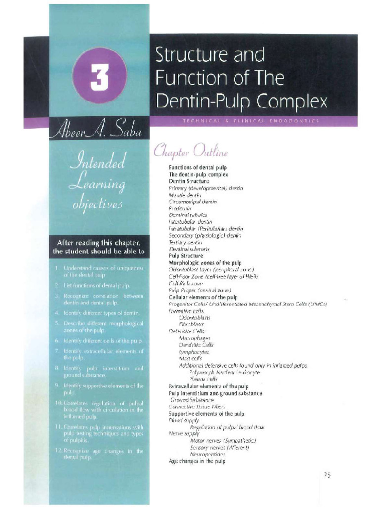 Chapter 3 Endo | PDF