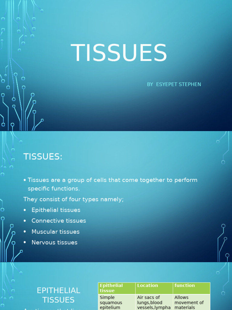 Tissues Powerpoint | PDF