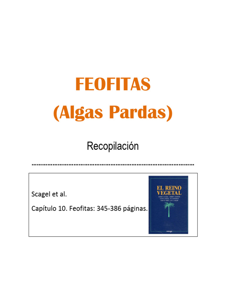 11.feofitas (Algas Pardas) | PDF
