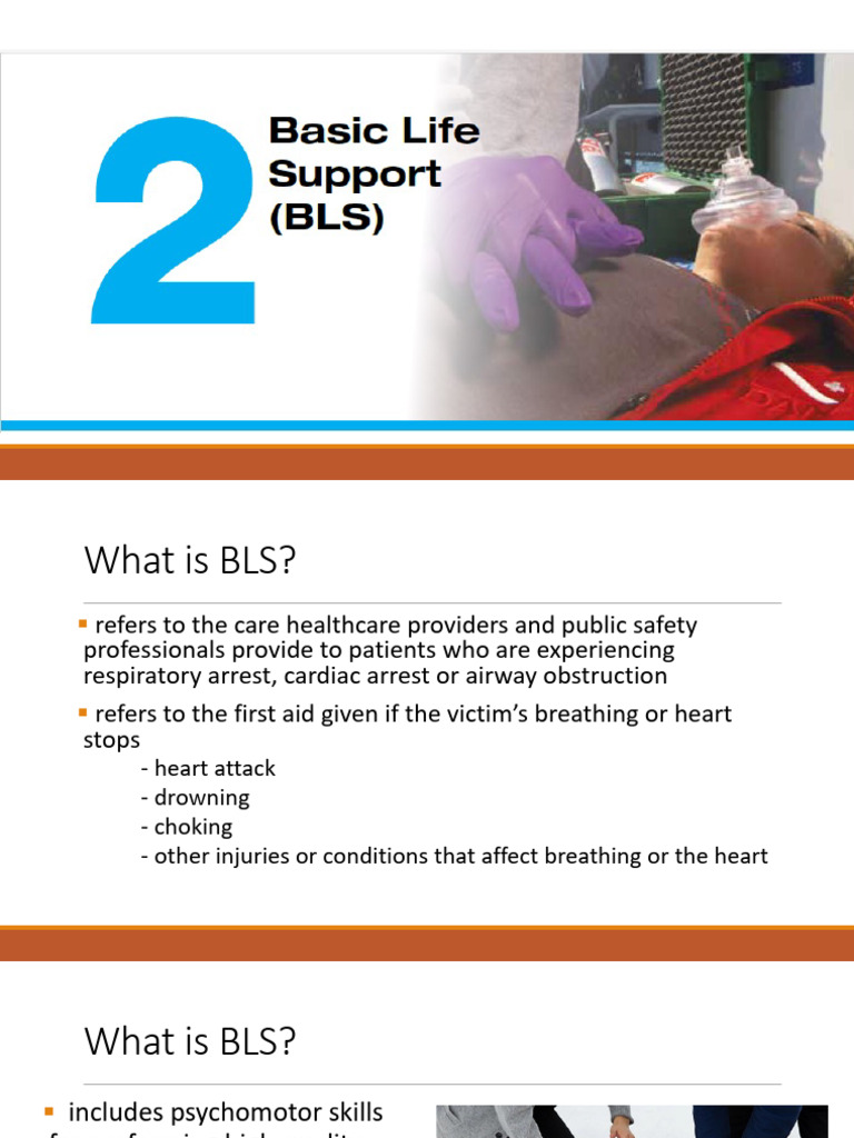 2-BLS | PDF