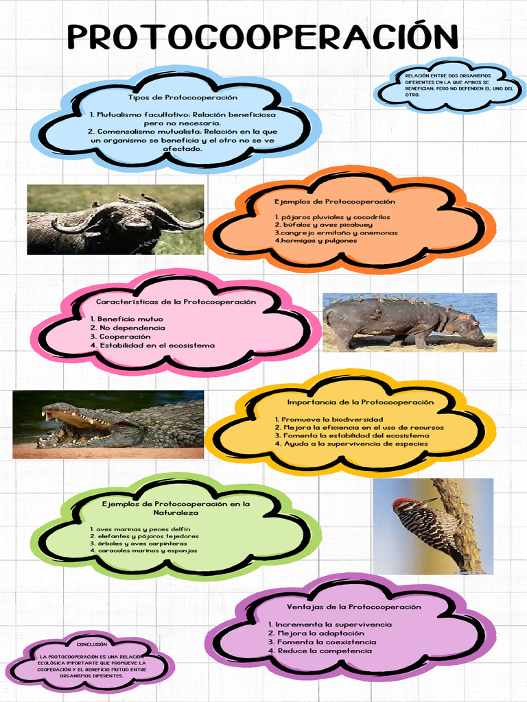 Protocooperacion | PDF | Ecología | Organismos