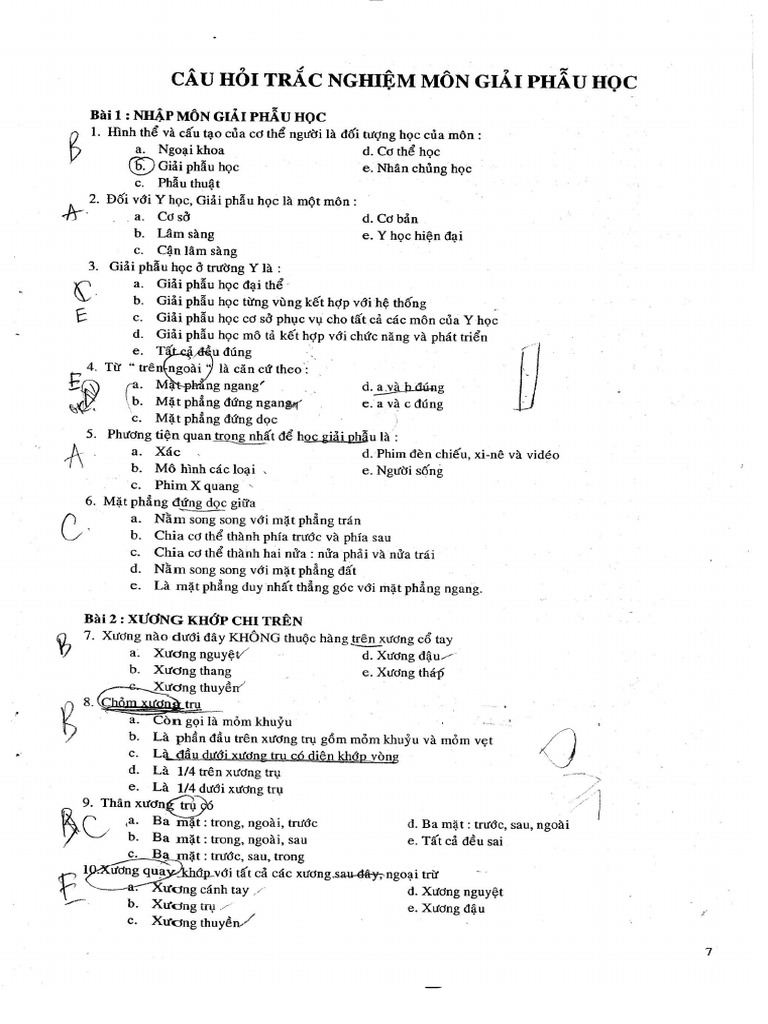 Top 1000 Cau Hoi Trac Nghiem Giai Phau Hoc Dai Hoc Da Nang 266 | PDF