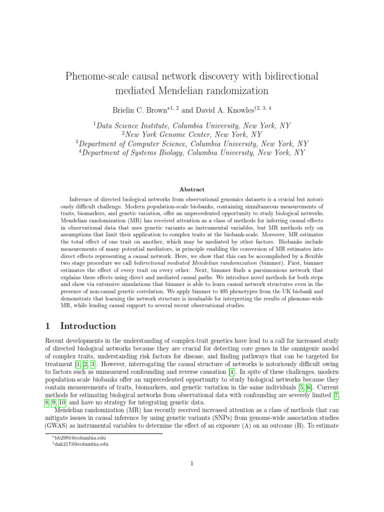 Bimmer Preprint | PDF
