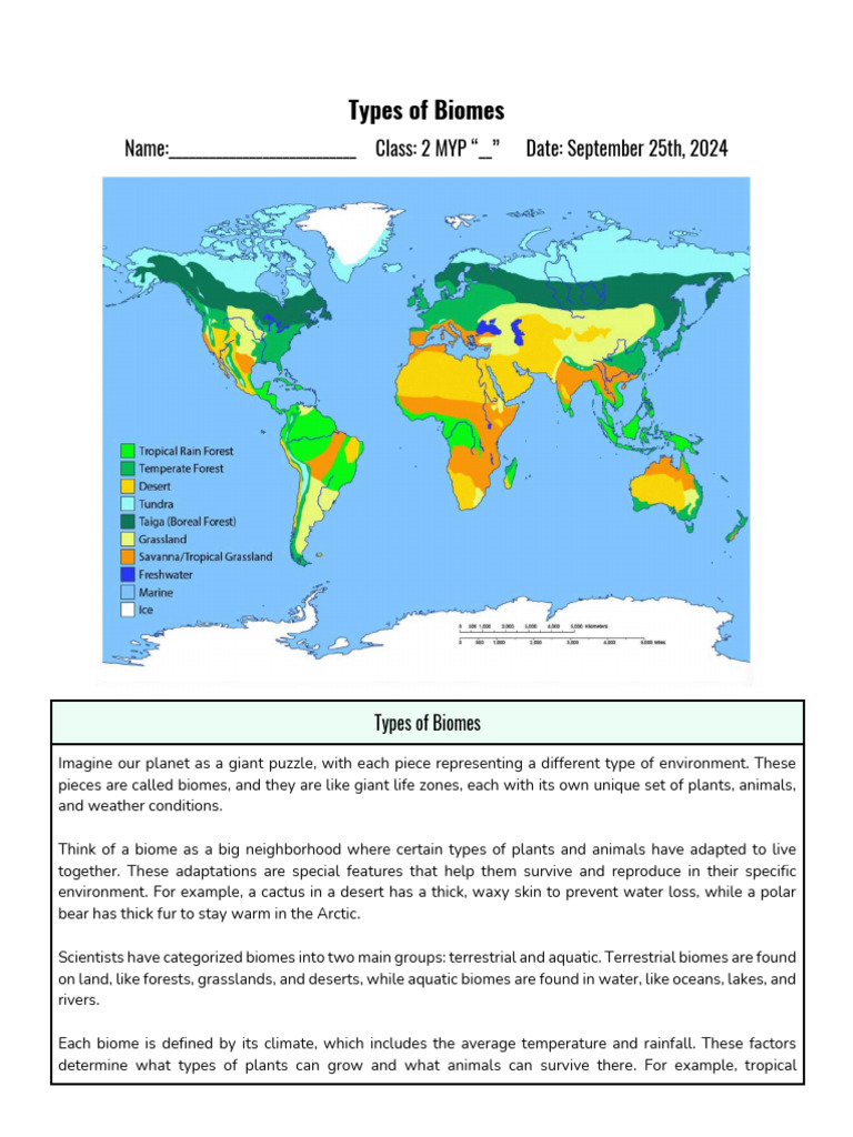 Types of Biomes | PDF