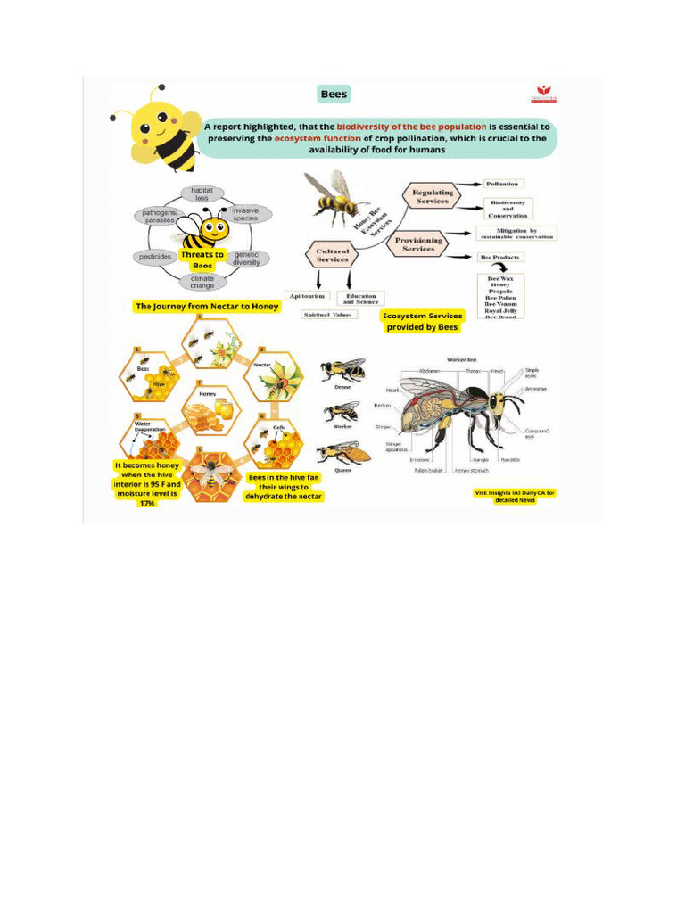 bees danger | PDF