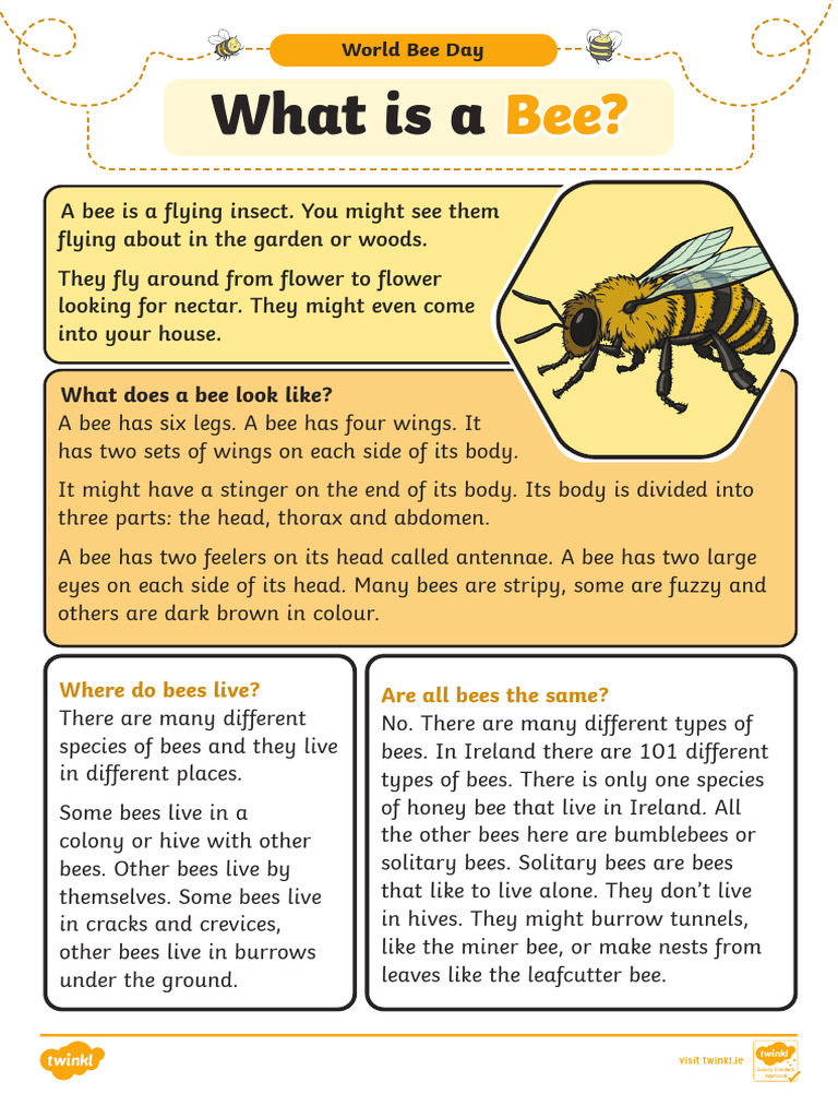 Roi Oe 1679308679 What Is A Bee Reading Comprehension - Ver - 1 | PDF ...