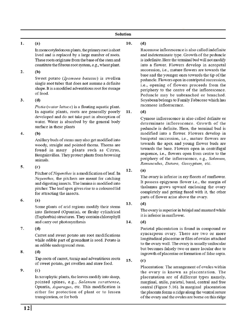 Answer Key-Morphology of Flowering Plant | PDF