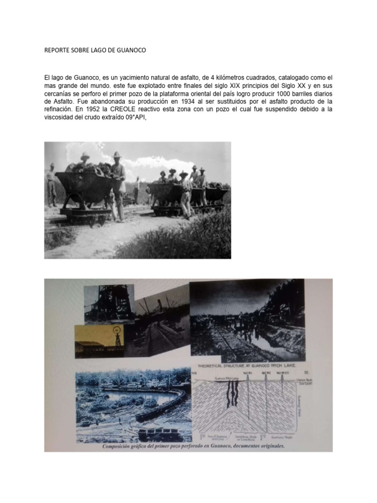 Resumen Sobre Lago de Guanoco | PDF