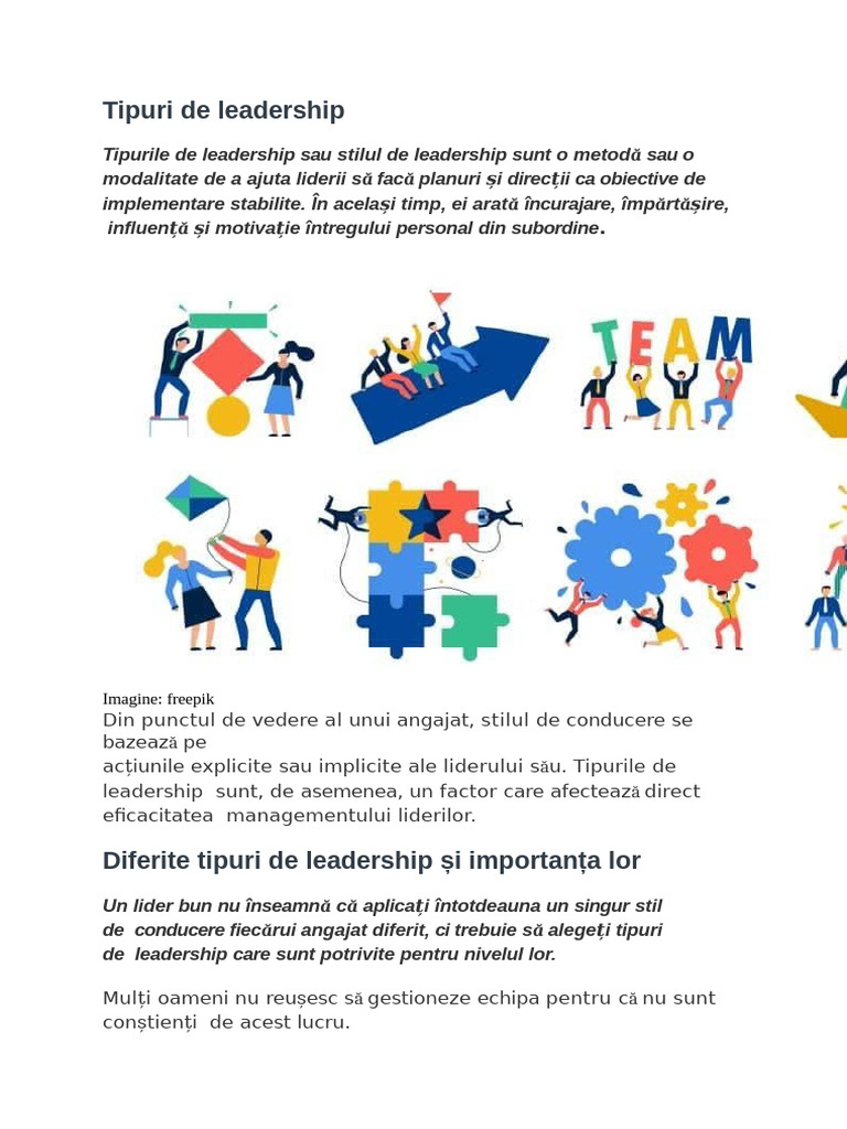 Tipuri de Leadership | PDF