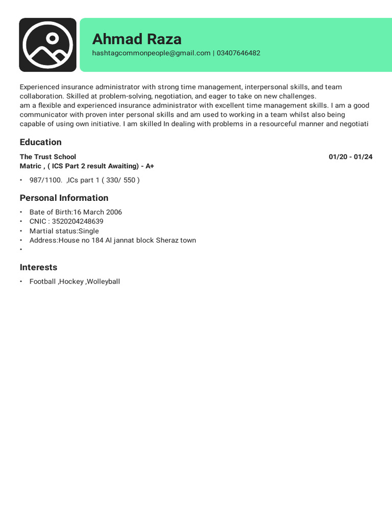 Ahmad Raza - CV | PDF | Career & Growth | Business