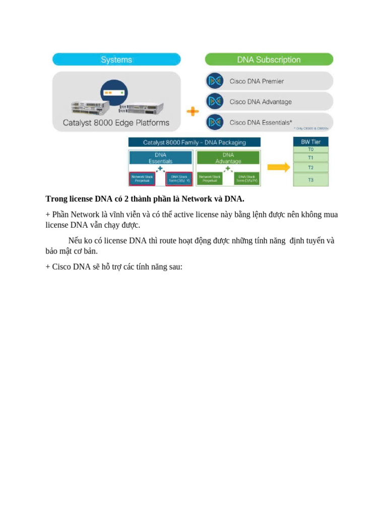 License DNA | PDF