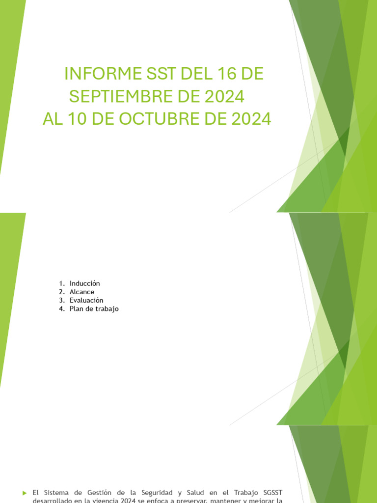 1 Informe SST-2024 | PDF