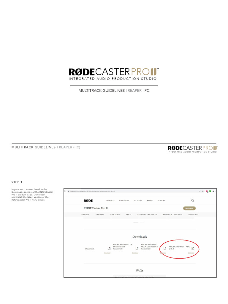 roadecaster pro 2 reaper | PDF
