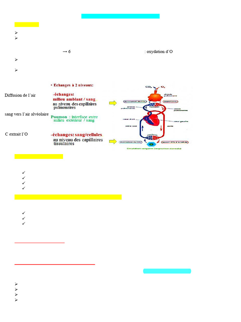 Physio Respi Alger | PDF