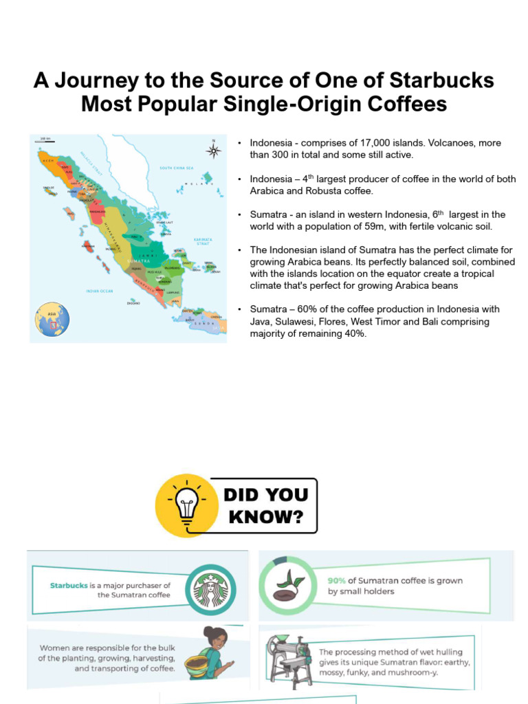 Journey From Bean To Cup 2 | PDF