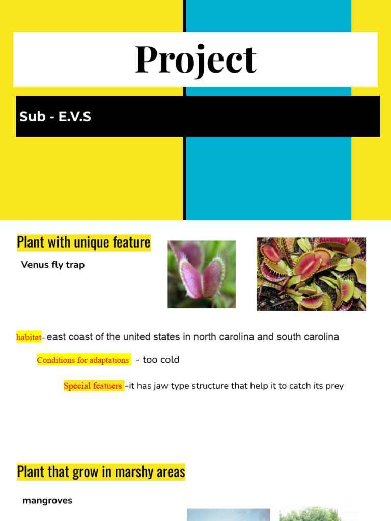 Project | PDF | Home & Garden