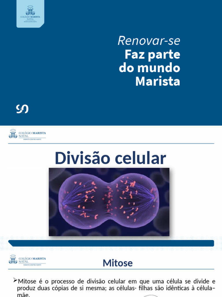 Divisão Celular | PDF