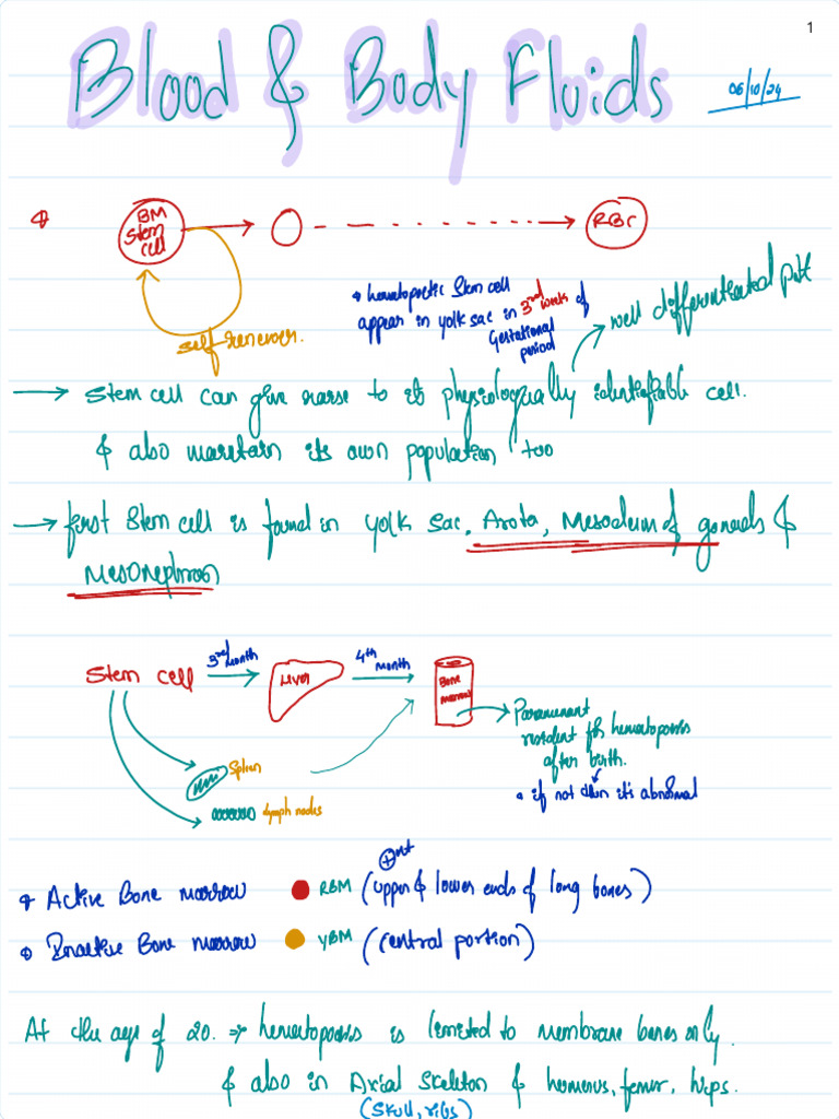 Blood physiology | PDF