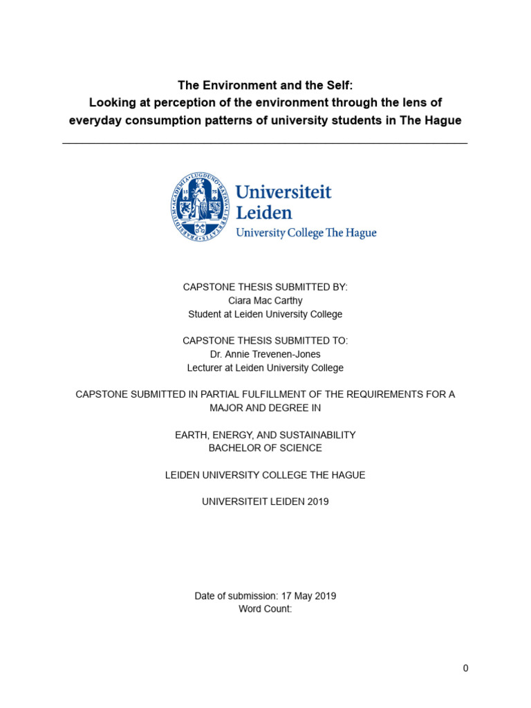 Capstone Summer 2019 - Final Draft | PDF