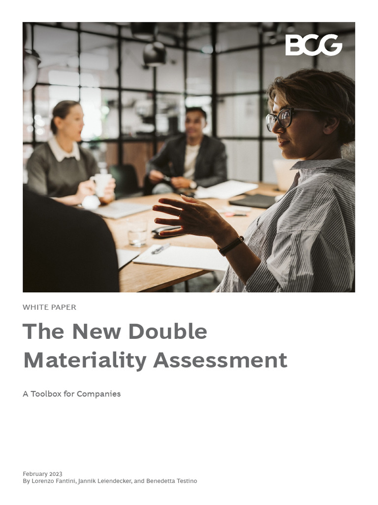 New Double Materiality Assessment | PDF