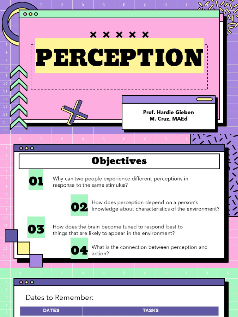 Perception | PDF
