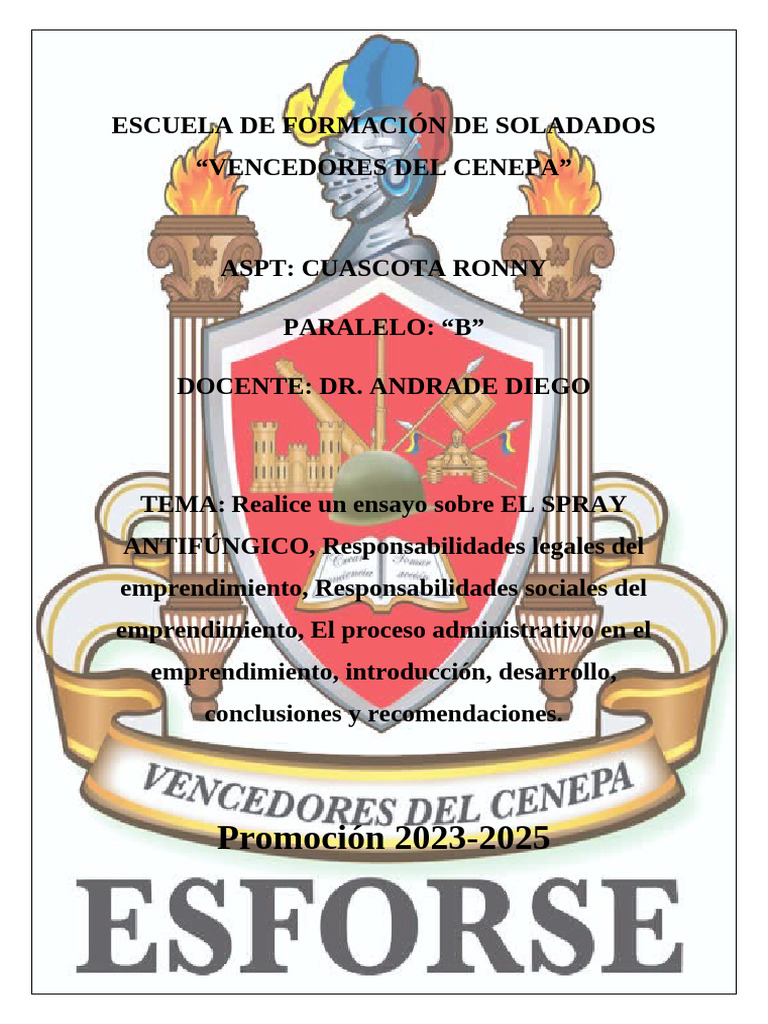 Escuela de Formación de Soladados Ensayo | PDF