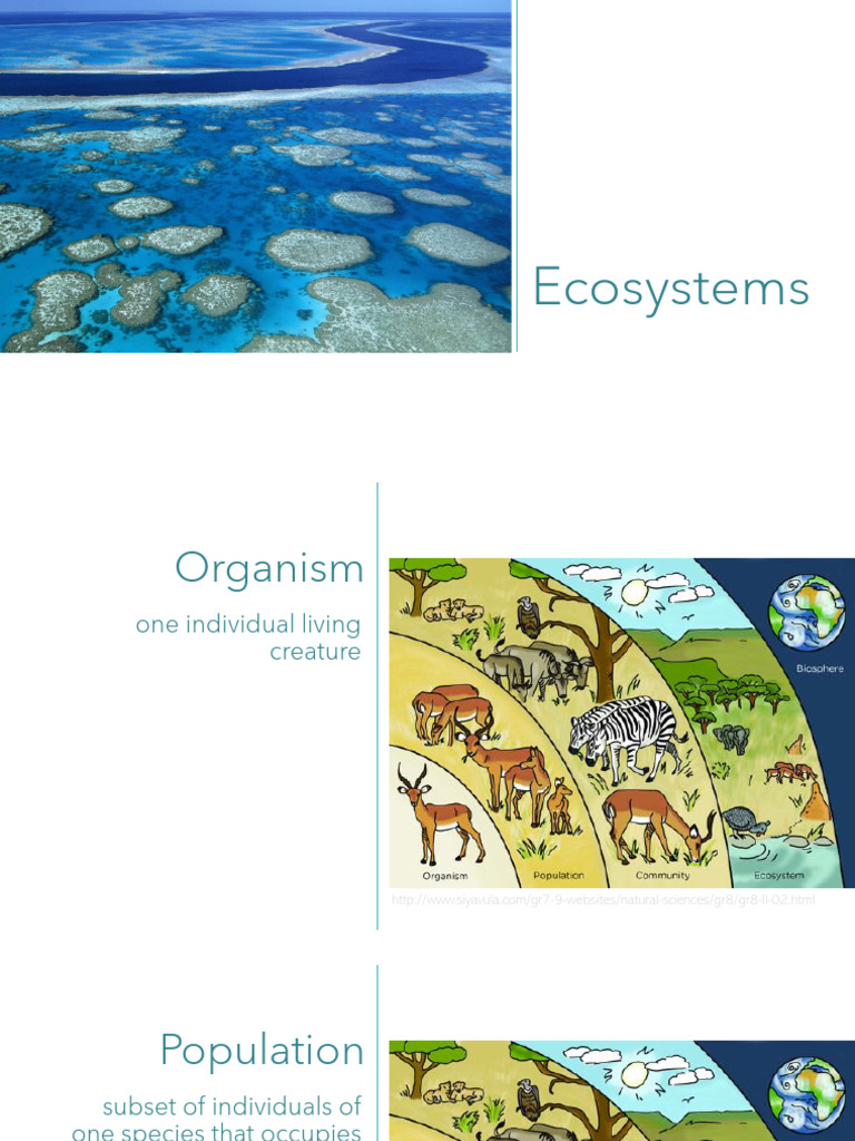 Ecosystems | PDF