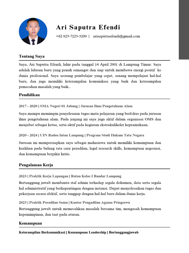 CV - Ari Saputra Efendi | PDF