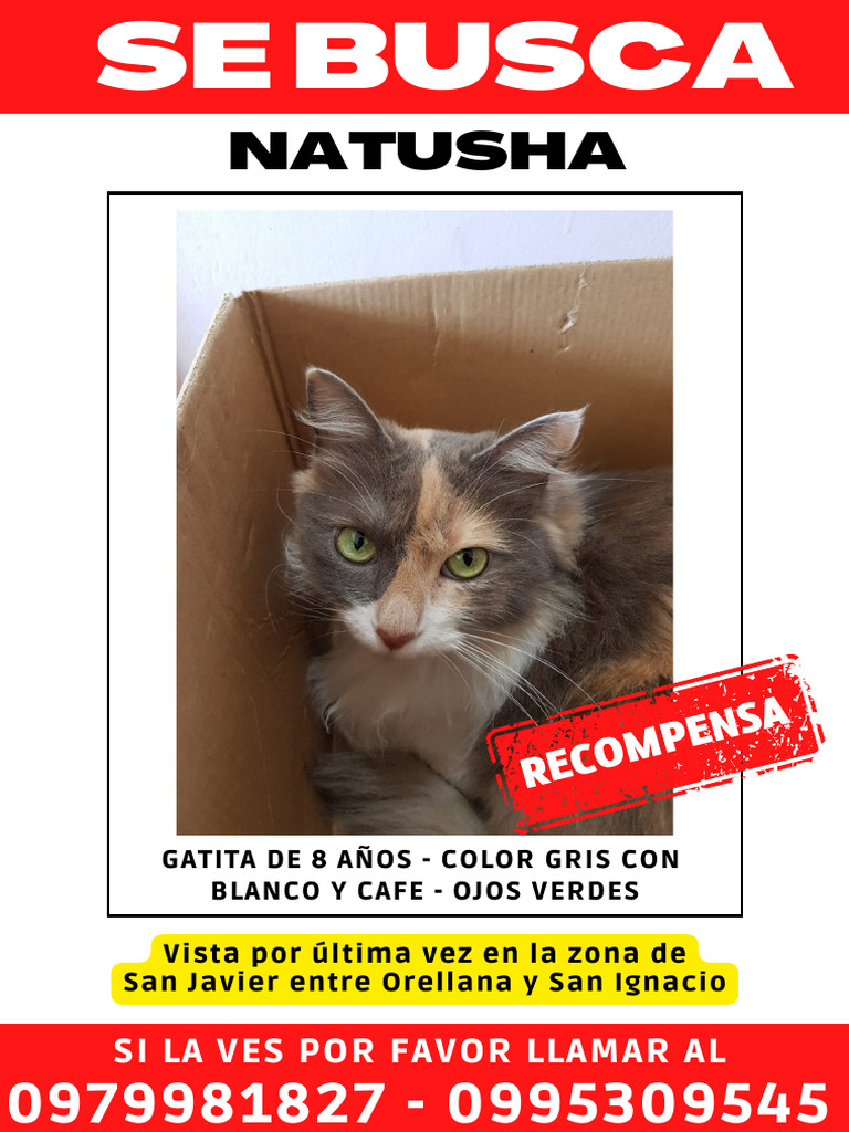 Se Busca Natusha | PDF