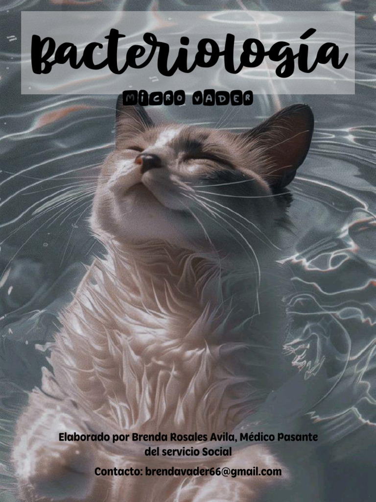 Cuadros Bacter Bren Vader 2024 | PDF