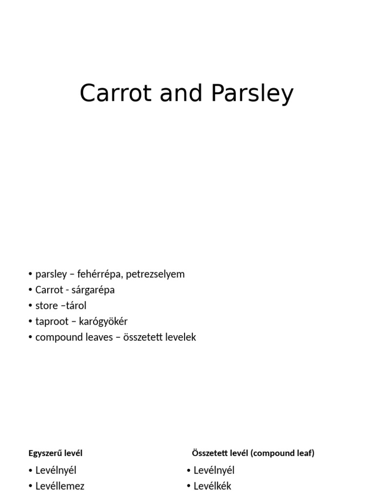 5 Carrot | PDF