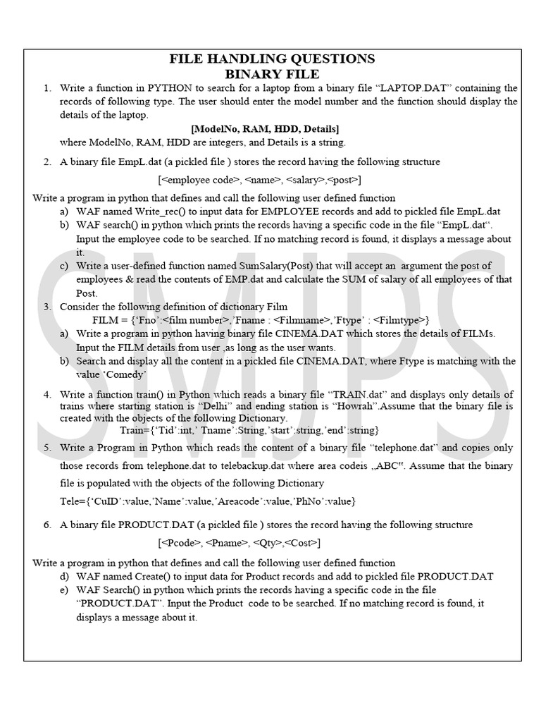 Assignment Binary File | PDF