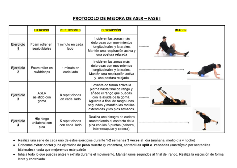 FMS Aslr - Fase I | PDF