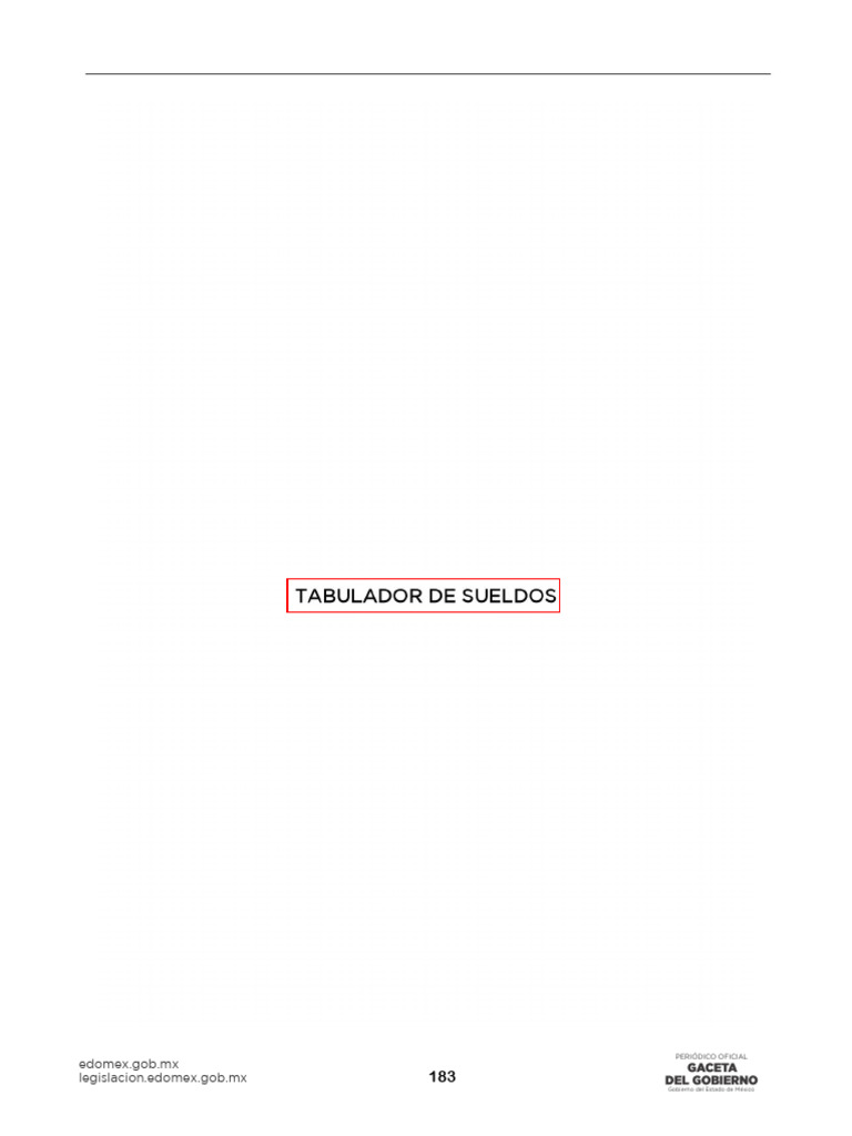 Tabulador de Salarios 2024 | PDF