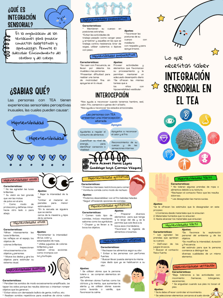 Triptico Integración Sensorial en TEA | PDF | Espectro autista ...