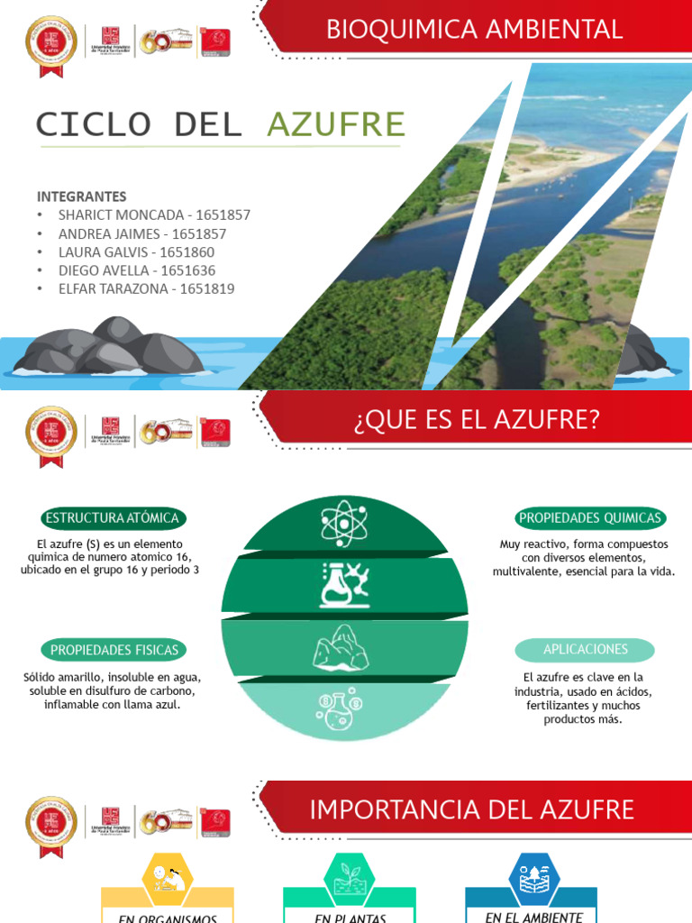 Ciclo Del Azufre | PDF