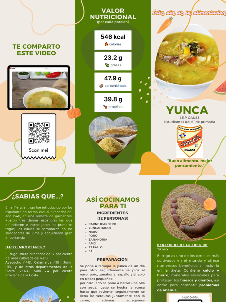 Triptico Yunca | PDF