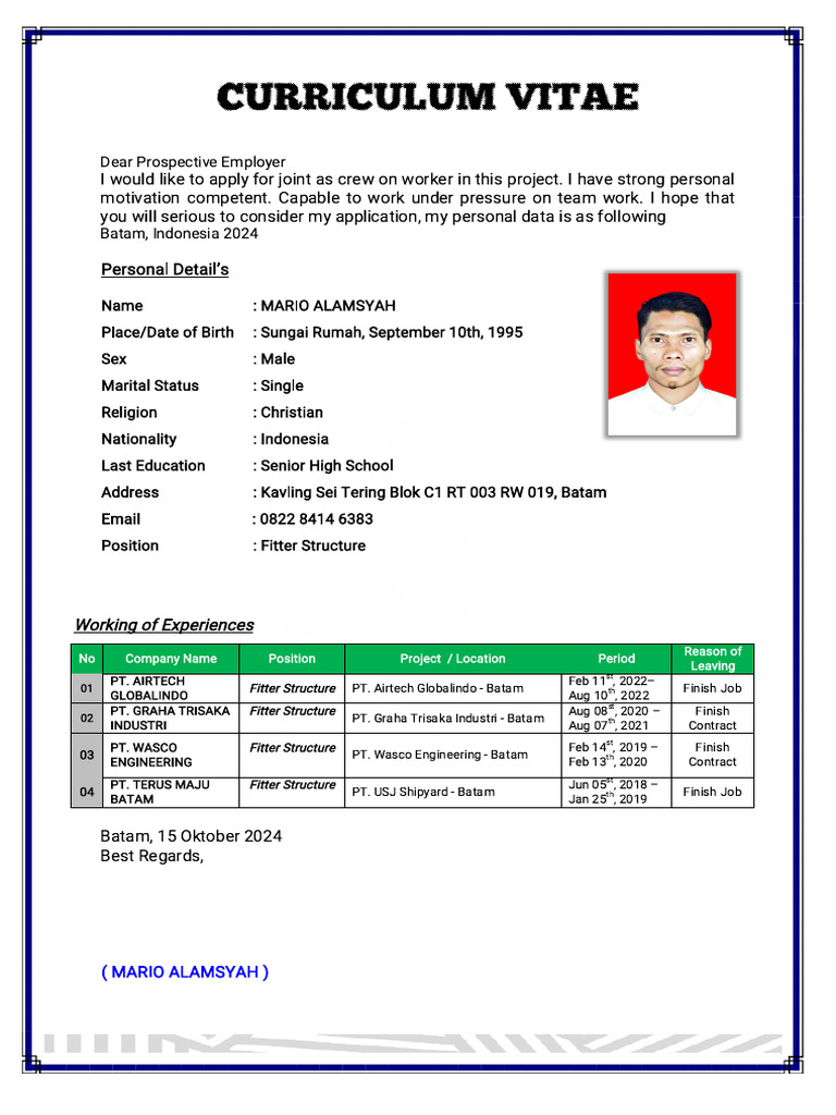 CV Mario Alamsyah | PDF