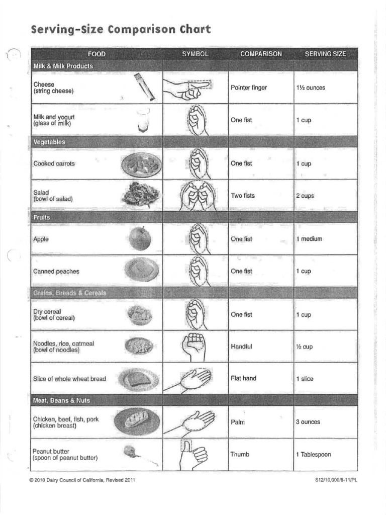 Serving Size Comparison Chart | PDF