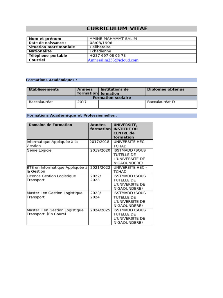 CV Amne MHT | PDF