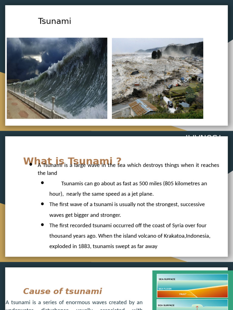 Tsunami Presentation | PDF