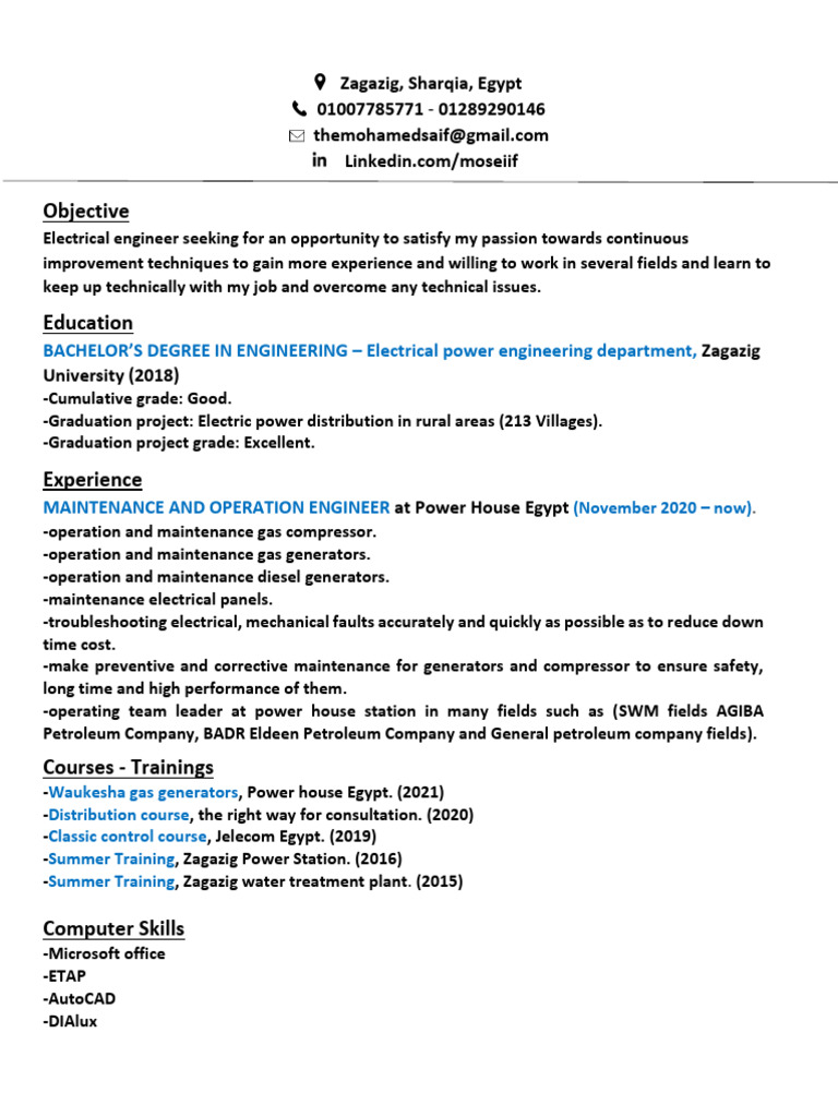 Mohamed Seif Resume | PDF