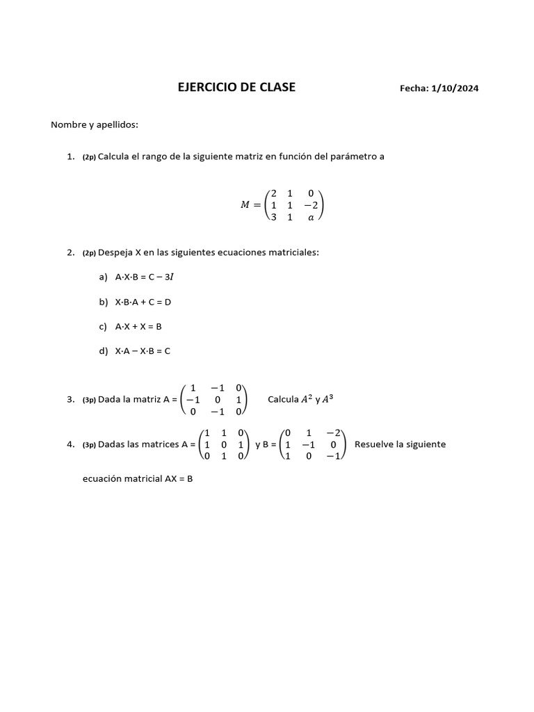 Ejer Matrices | PDF