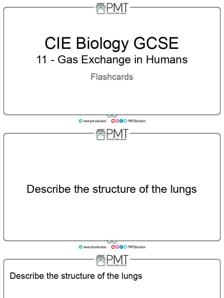 GCSE Biology: Human Gas Exchange | PDF | Respiratory System | Science ...